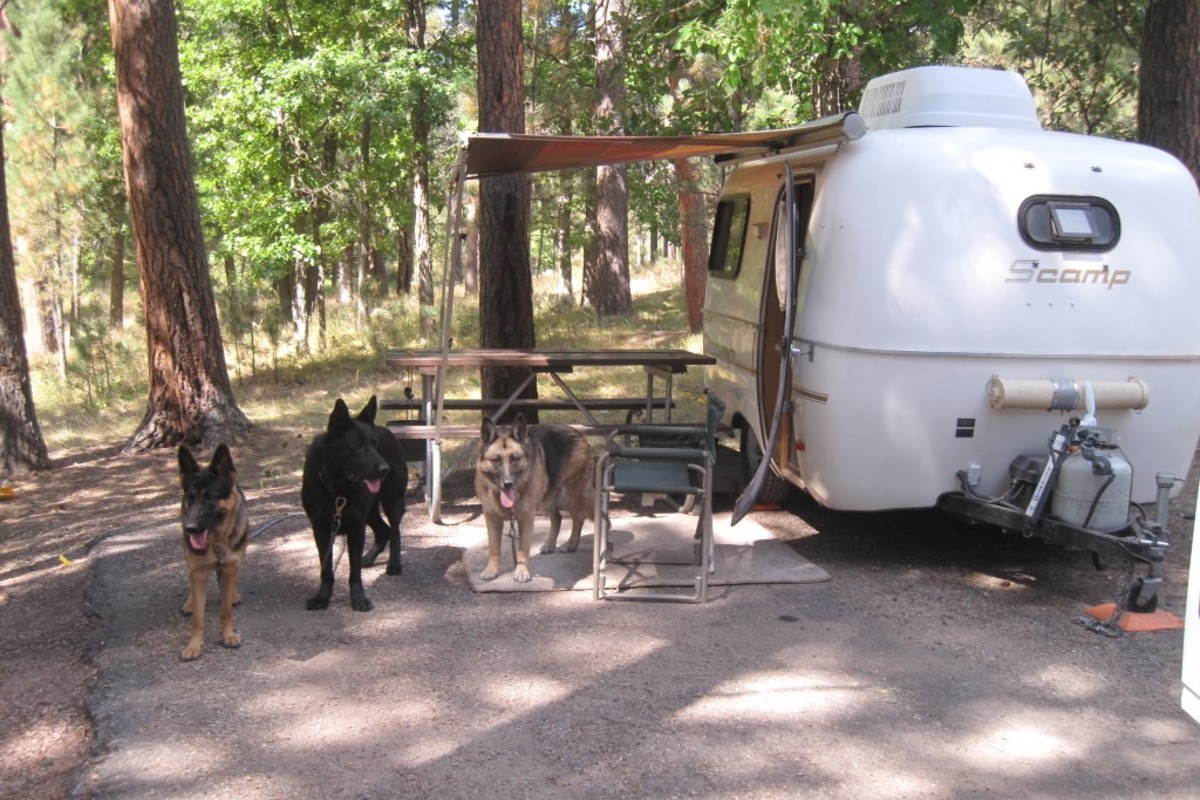 1999 Scamp 13' Deluxe with Bathroom in Dorchester, IL