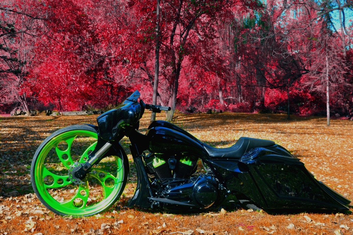 2011 Custom 30" Harley Davidson Electra Glide Ultra Limited Electra ...