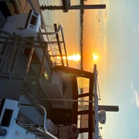 1988 Delta Dive Boat in Orange Beach, AL