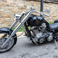 2004 Bourget Python in Ely, NV