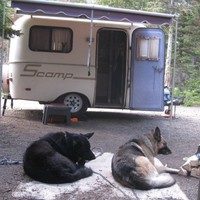 1999 Scamp 13' Deluxe with Bathroom in Dorchester, IL